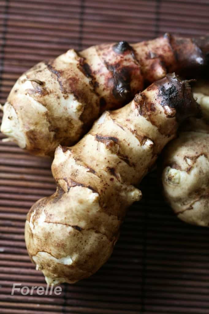 topinambai – Impossible is nothing