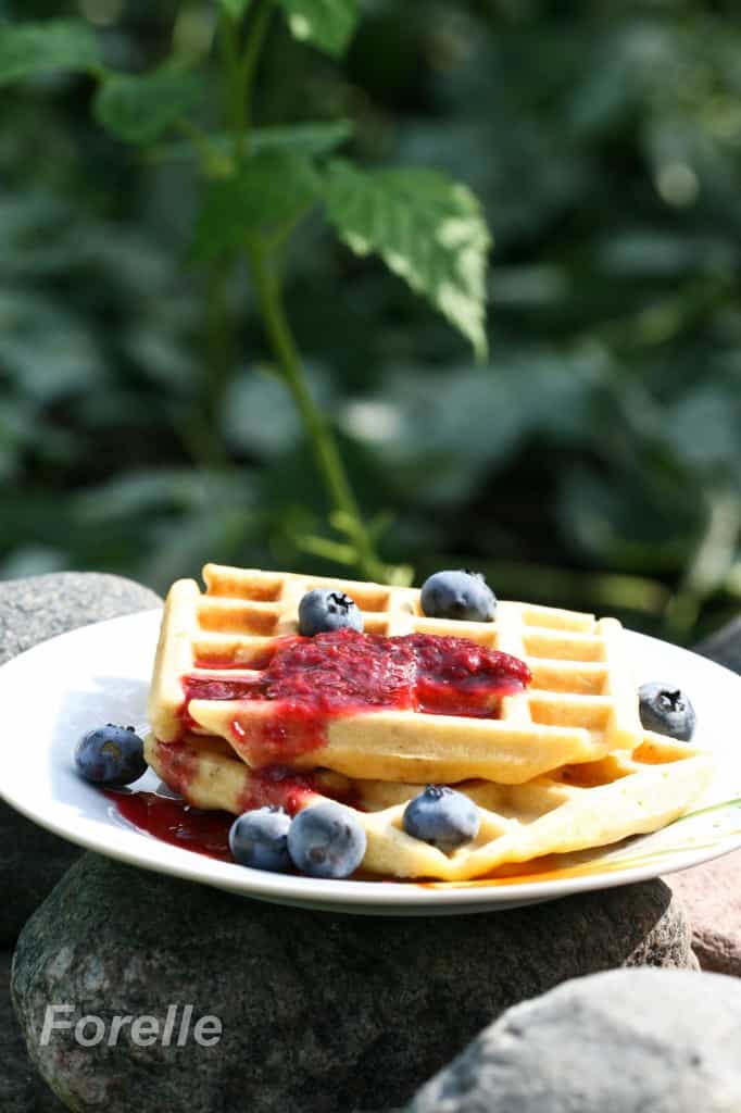 Avižiniai vafliai - receptas